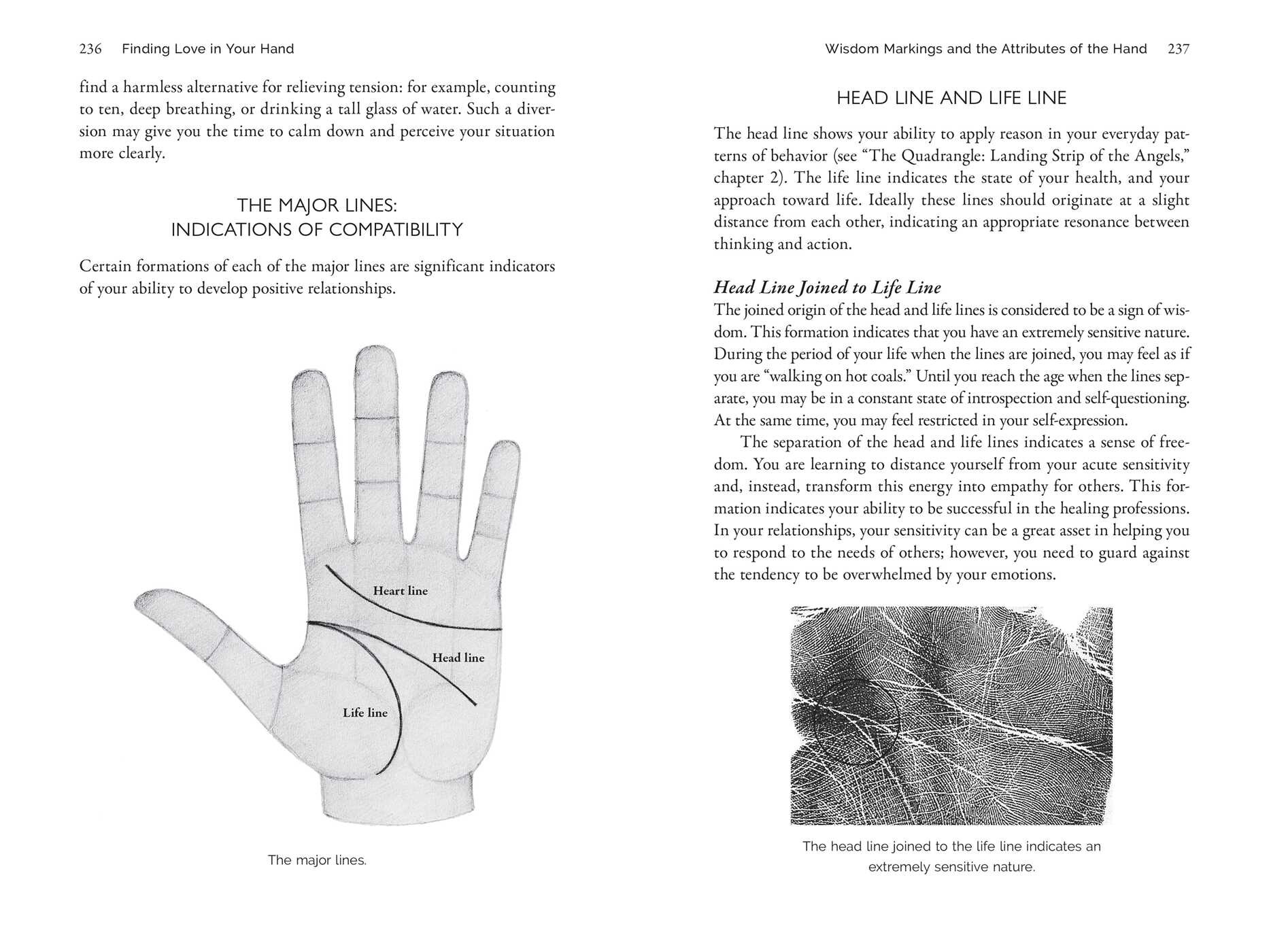 Palmistry for Love | Book by Ghanshyam Singh Birla, Steve Erwin | Official Publisher Page ...