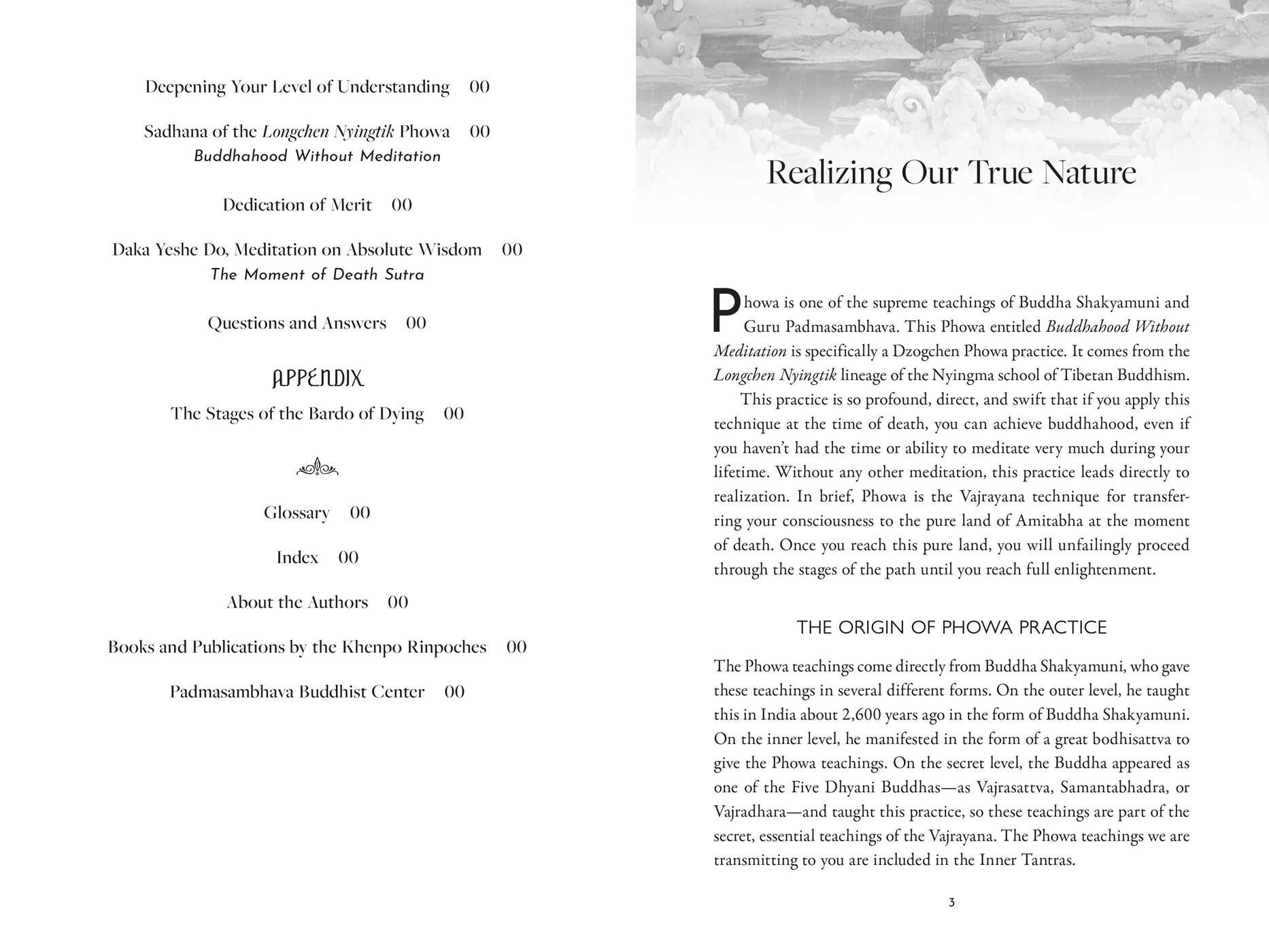 The Tibetan Buddhist Practice of Phowa | Book by Khenchen Palden Sherab ...