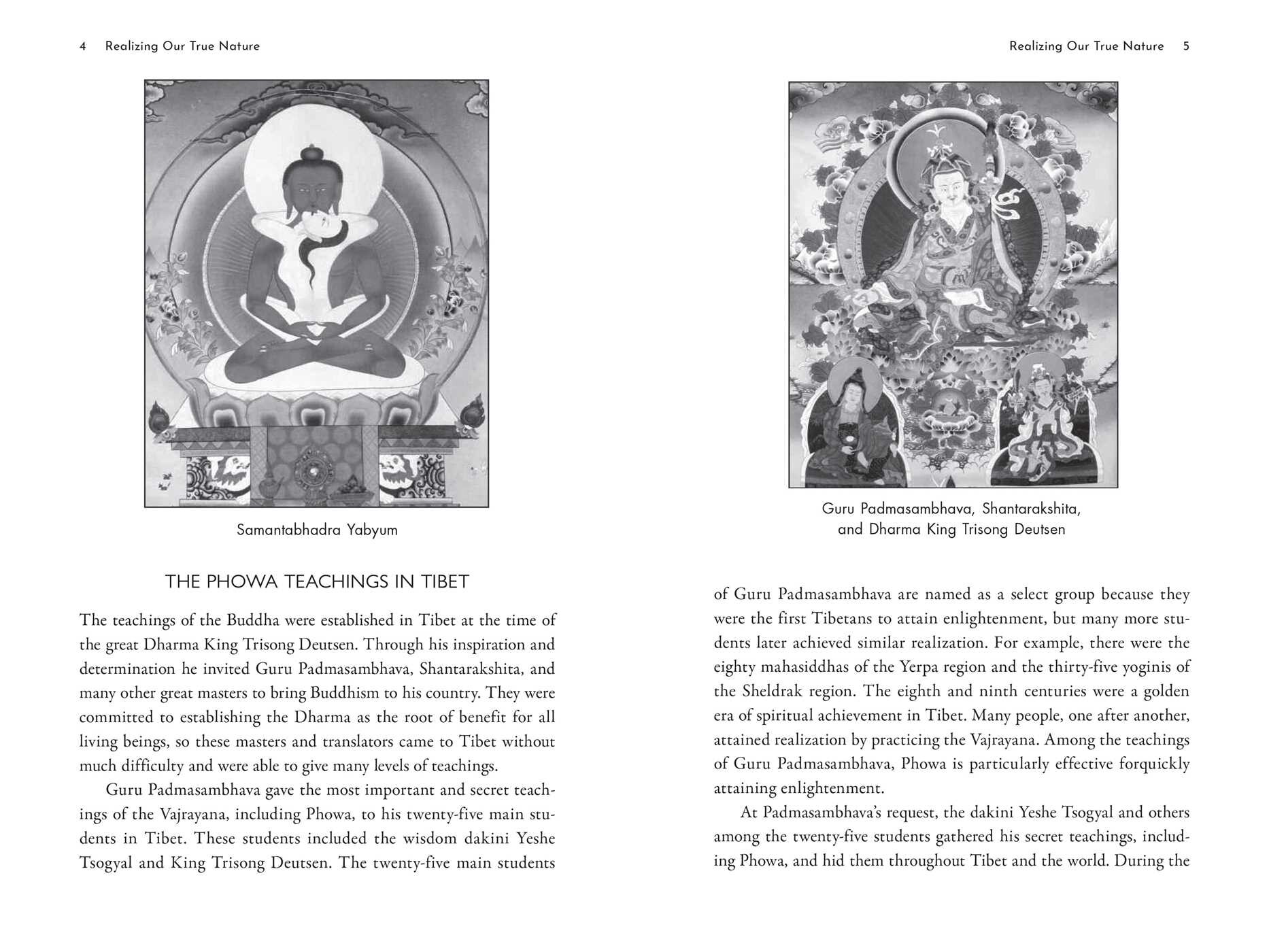 The Tibetan Buddhist Practice of Phowa | Book by Khenchen Palden Sherab ...