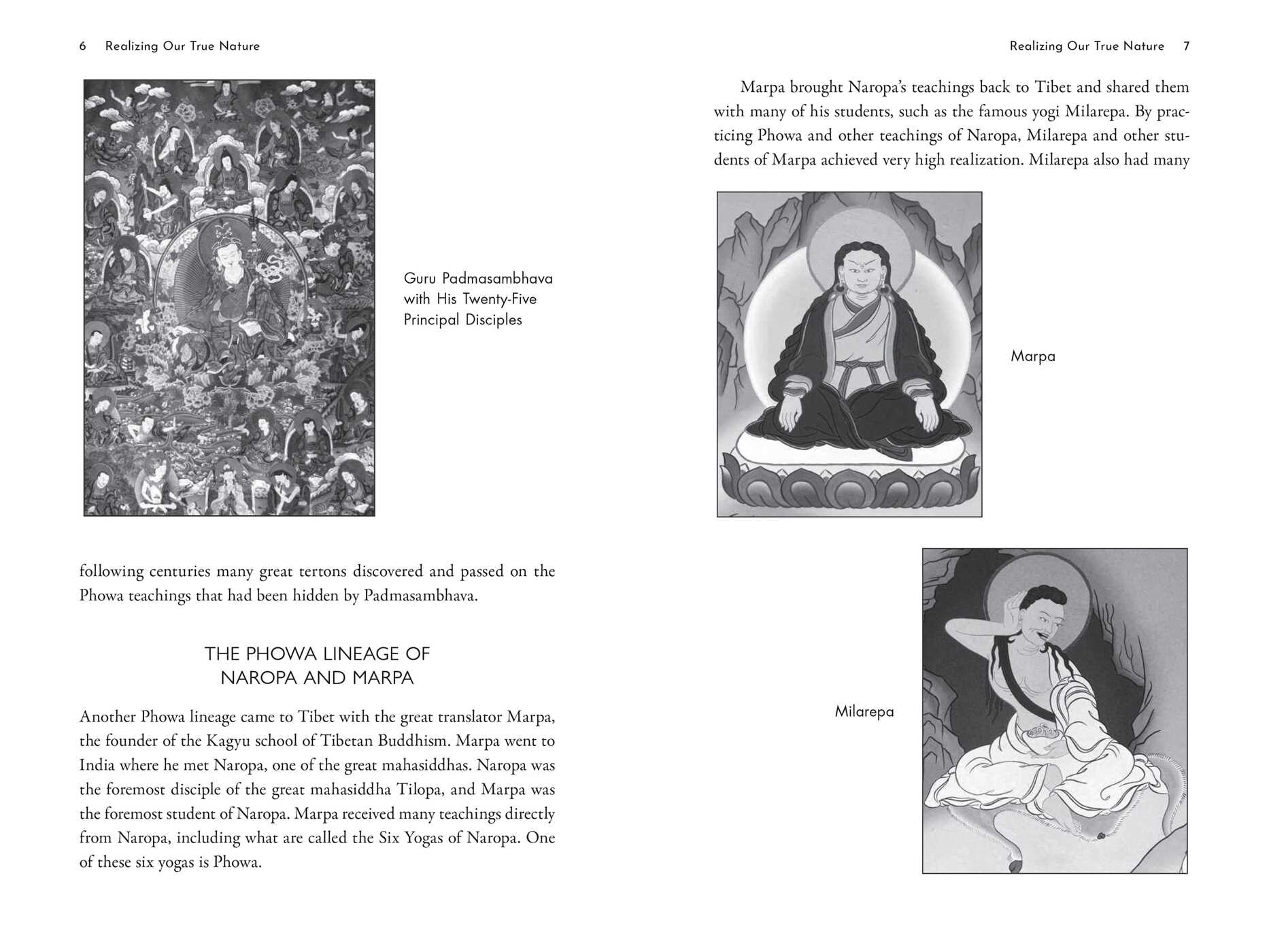 The Tibetan Buddhist Practice of Phowa | Book by Khenchen Palden Sherab ...