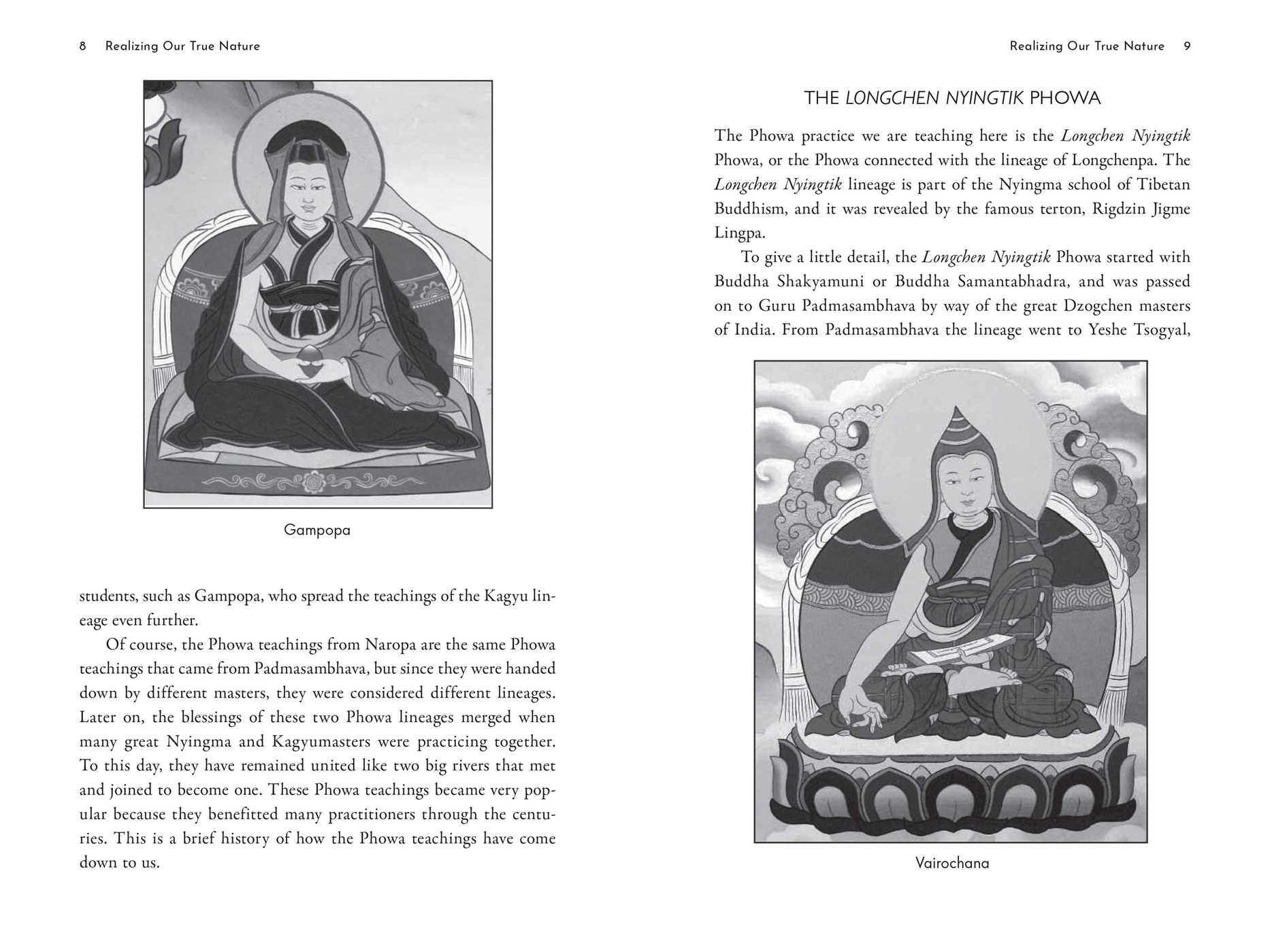 The Tibetan Buddhist Practice of Phowa | Book by Khenchen Palden Sherab ...