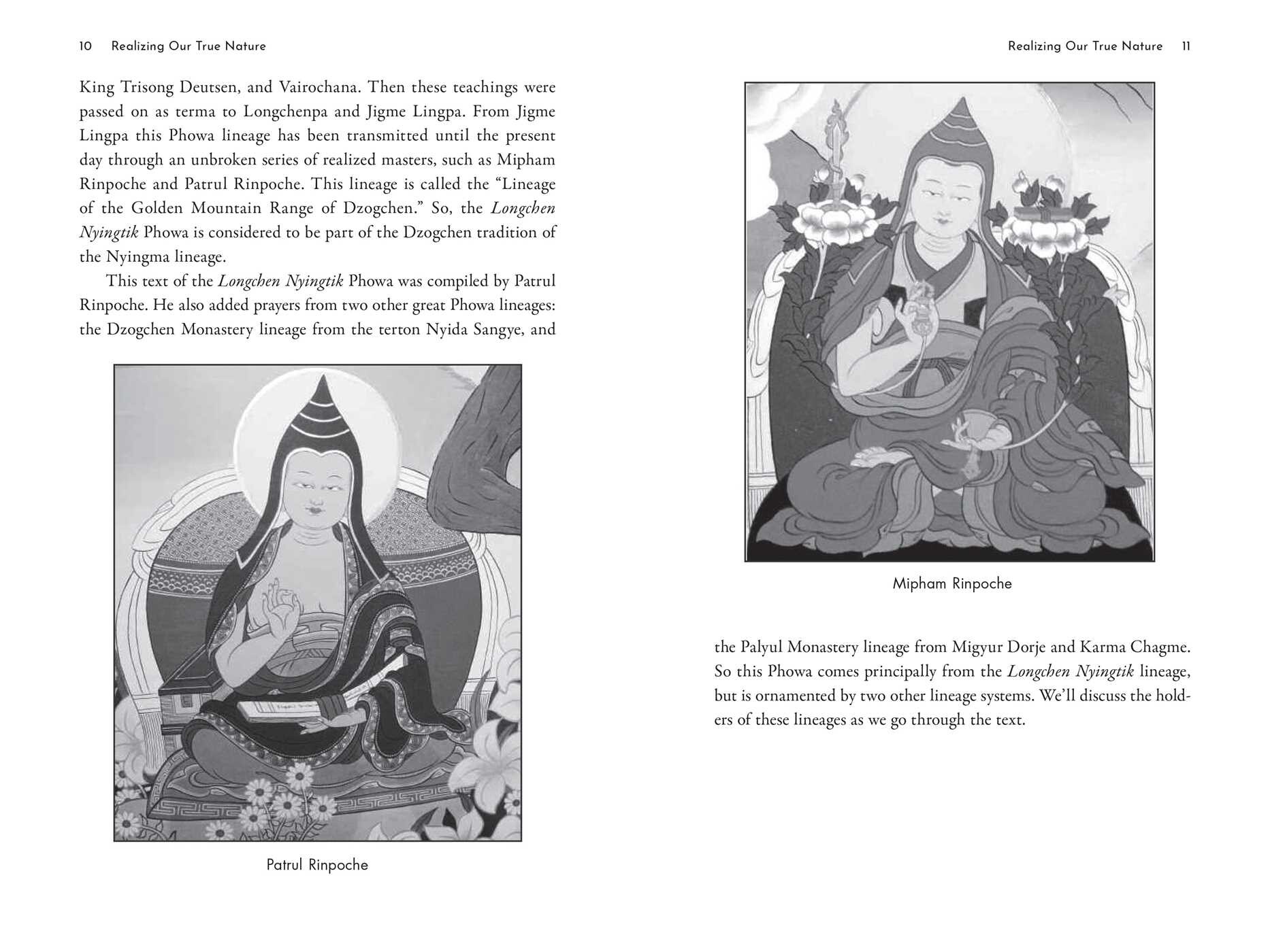 The Tibetan Buddhist Practice of Phowa | Book by Khenchen Palden Sherab ...