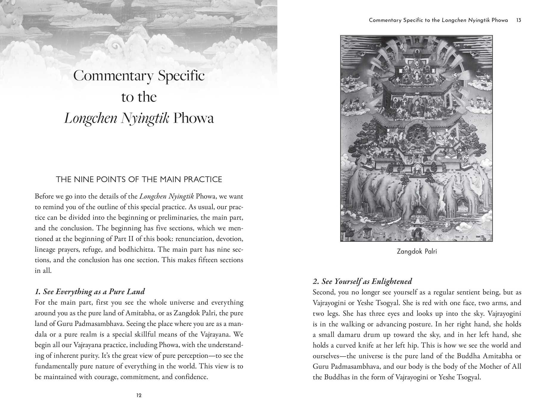 The Tibetan Buddhist Practice of Phowa | Book by Khenchen Palden Sherab ...