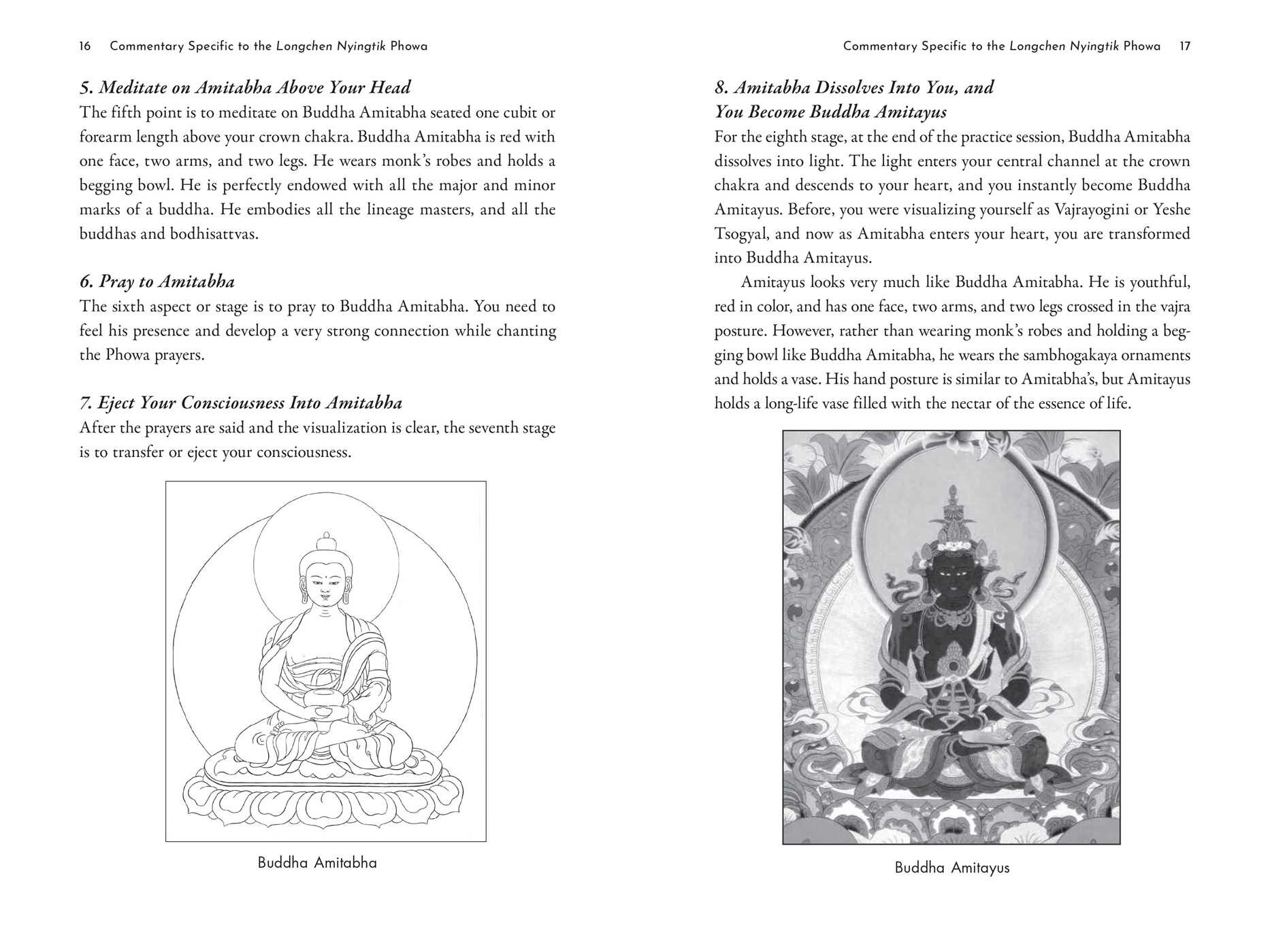 The Tibetan Buddhist Practice of Phowa | Book by Khenchen Palden Sherab ...
