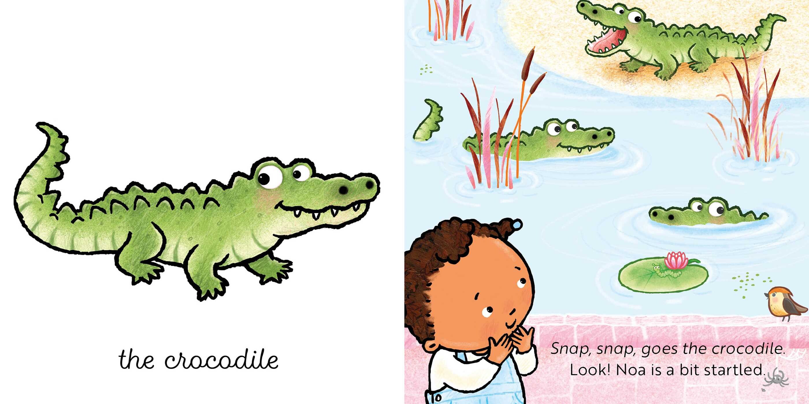 Look! The Zoo | Book by Pauline Oud | Official Publisher Page | Simon ...