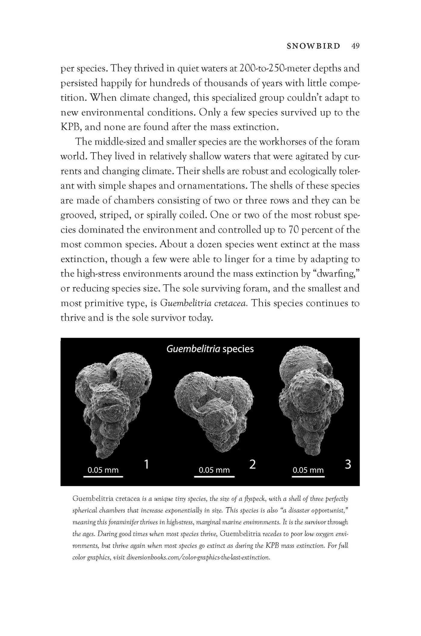 The Last Extinction | Book by Gerta Keller | Official Publisher Page ...