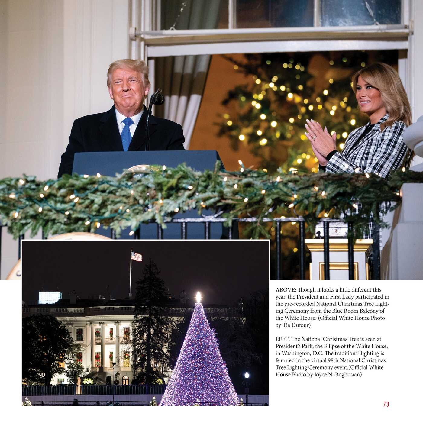 A Trump Family Christmas | Book by L.D. Hicks | Official Publisher Page ...