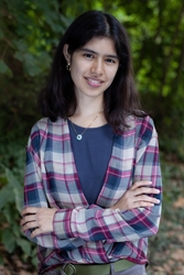 Livonia Chow Mein | Book by Abigail Savitch-Lew | Official Publisher ...