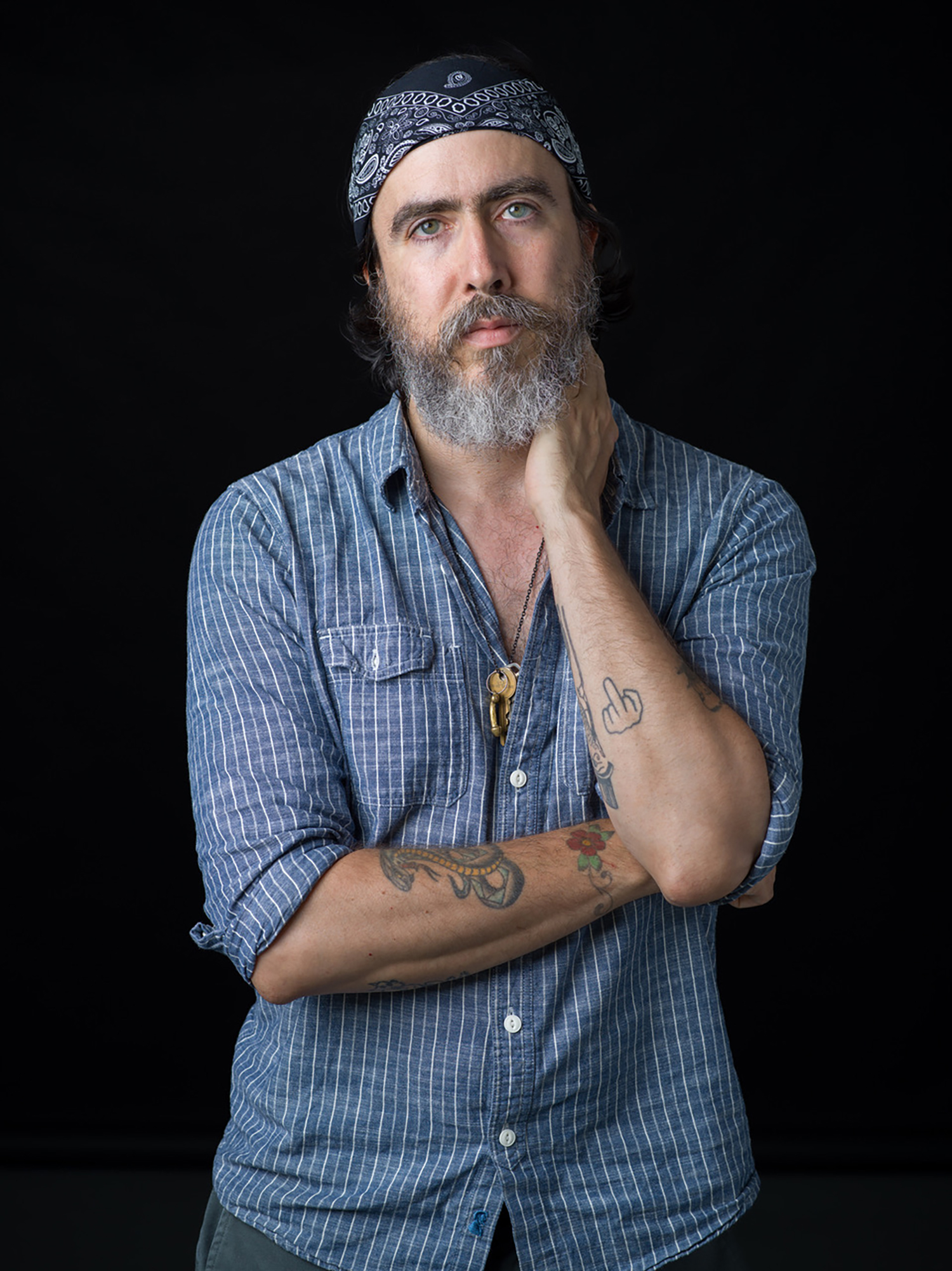 Cat Portraits | Book by Jesse Pearson, Dave Nazworthy, Lunch | Official ...